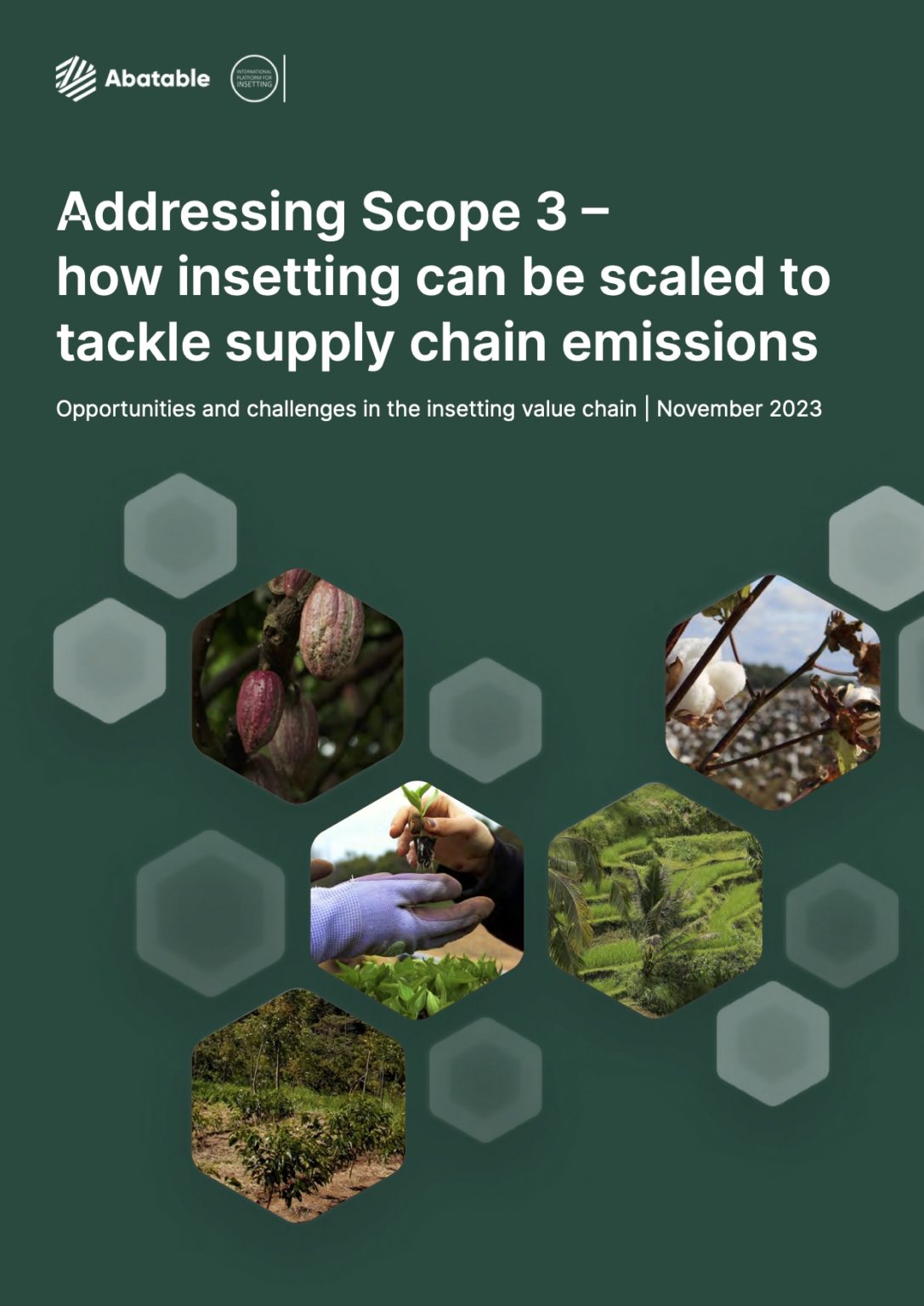 Insetting Study: Addressing Scope 3 - IPI